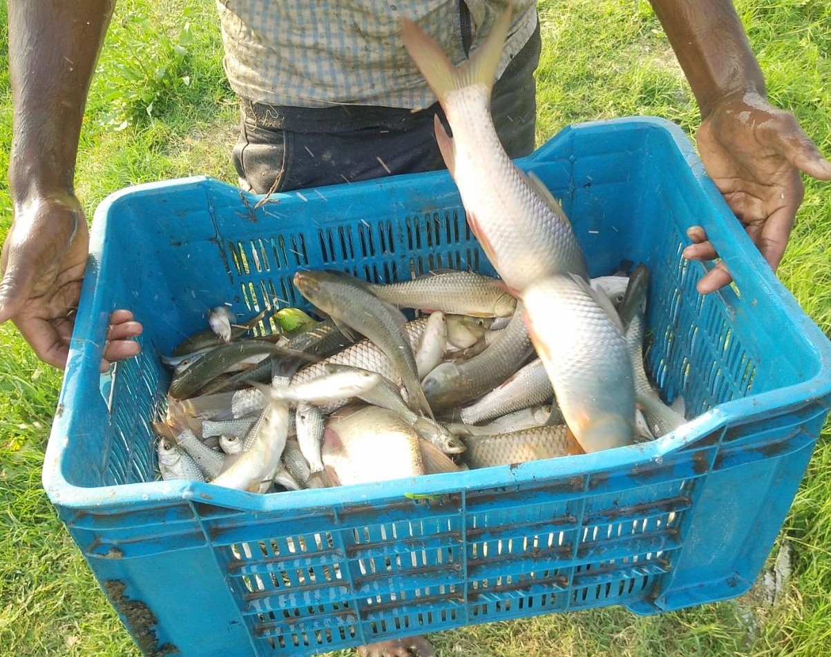 Department of Fisheries Uttarakhand